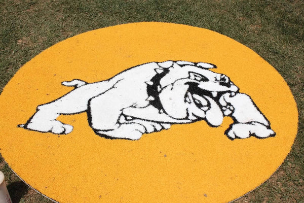 Baseball Field Fungo Circles, On Deck Circles, Coach's Boxes, Custom ...